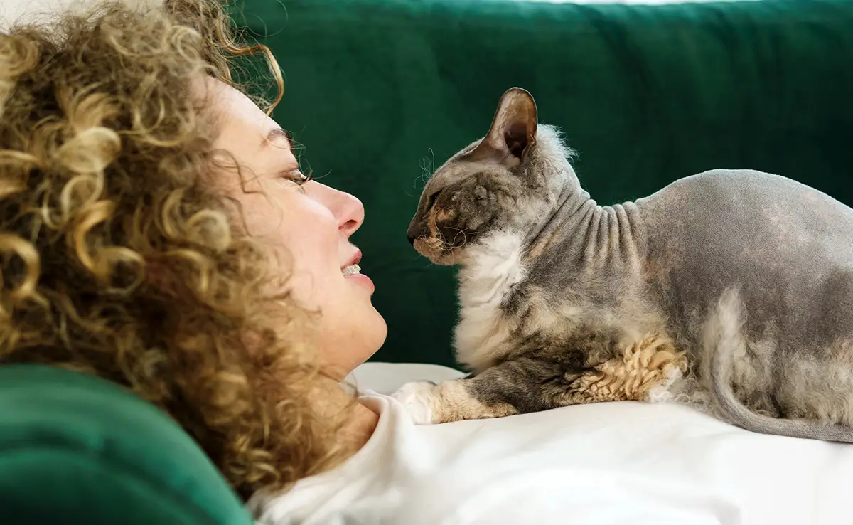 Wat Zijn De Verschillen Tussen Wezel, Fret, Marter, Marter, Hermelijn ...